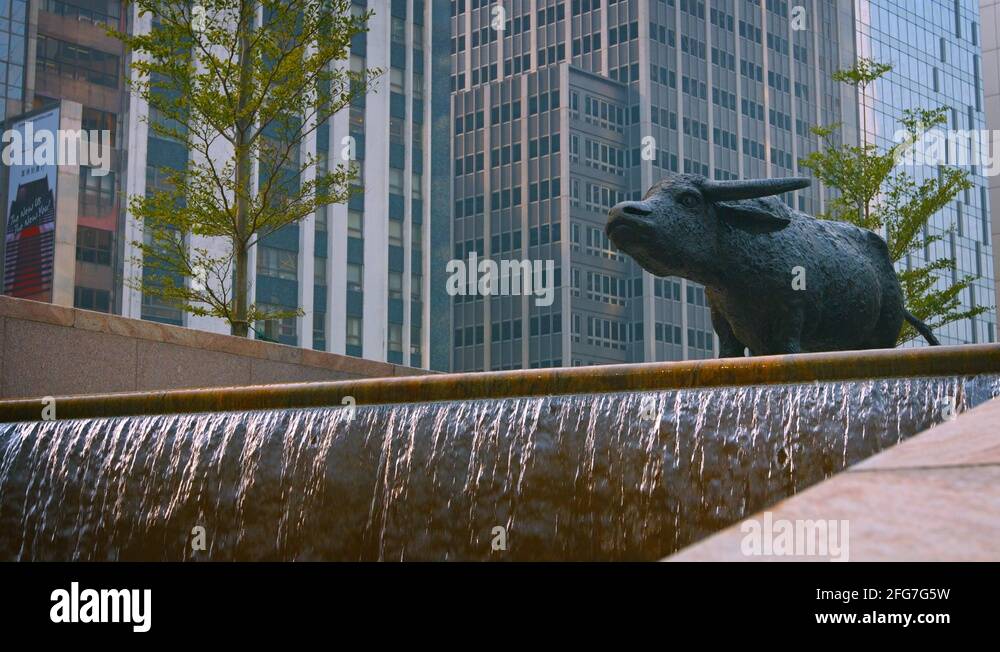 Water buffalo sculpture Stock Videos & Footage - HD and 4K Video Clips ...