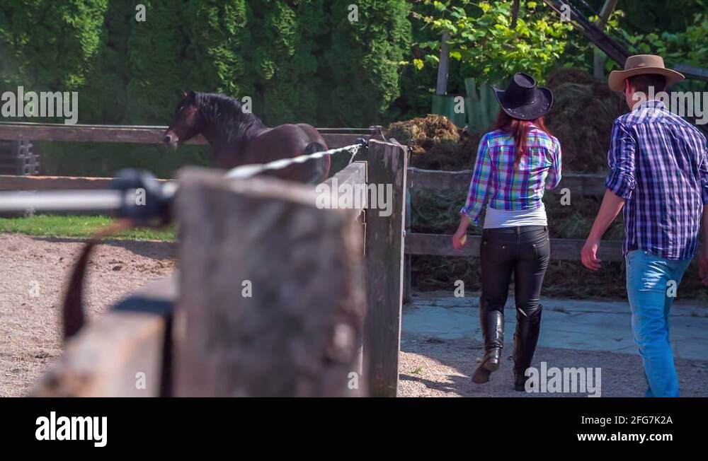 Horse riding stables Stock Videos & Footage - HD and 4K Video Clips - Alamy