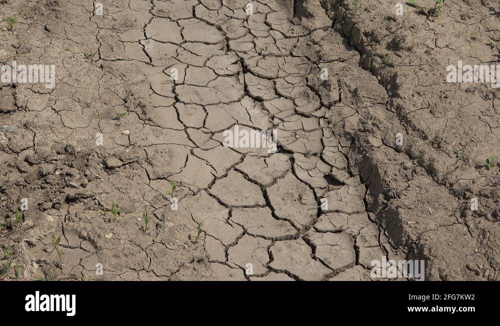 Abstract shapes in mud Stock Videos & Footage - HD and 4K Video Clips ...