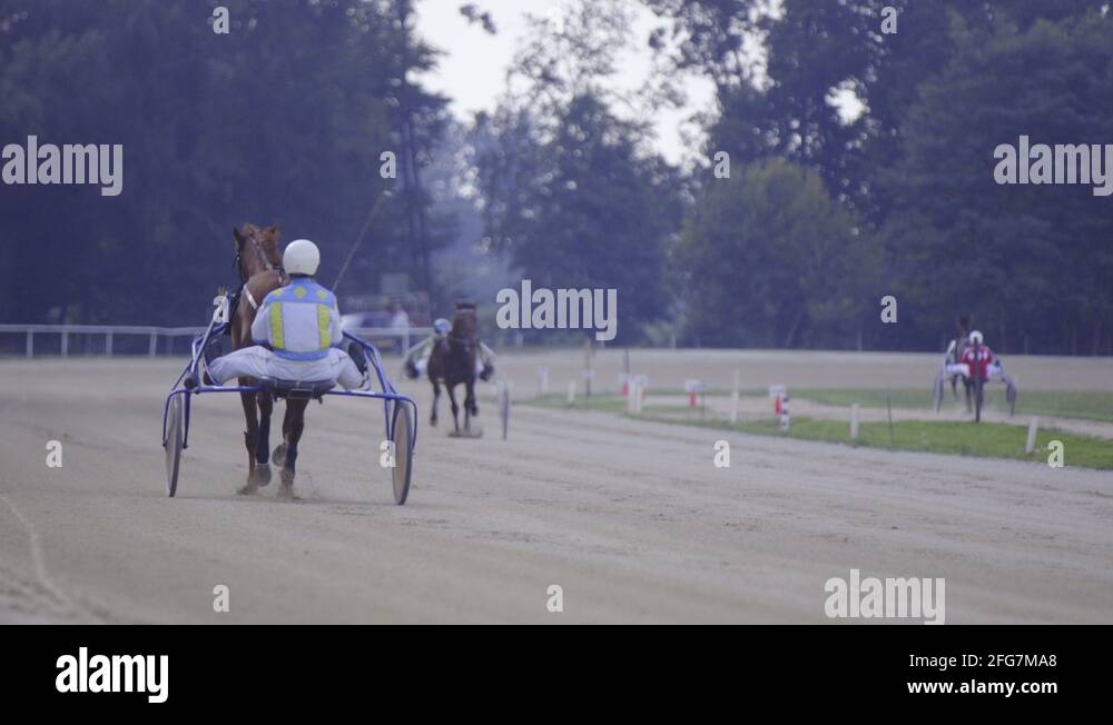 Trotter racing Stock Videos & Footage - HD and 4K Video Clips - Alamy