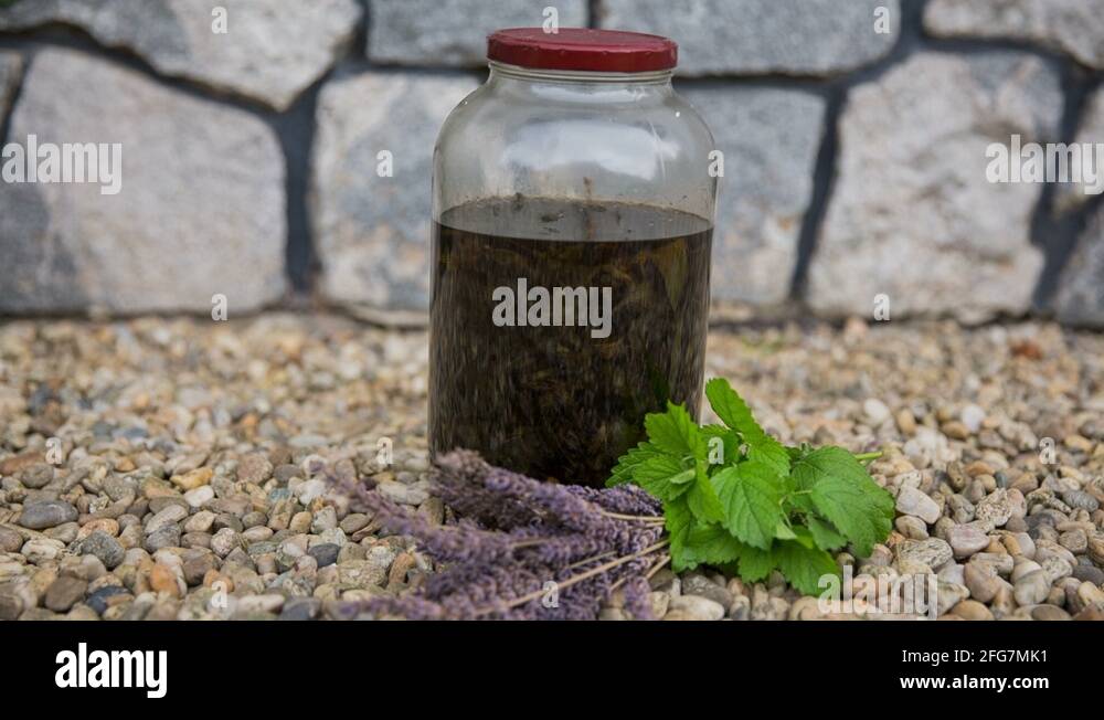 Peppermint liqueur Stock Videos & Footage - HD and 4K Video Clips - Alamy