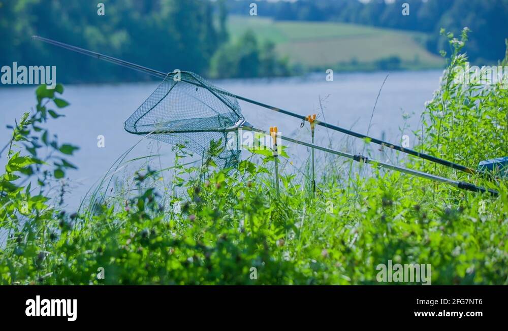 Rod and net Stock Videos & Footage - HD and 4K Video Clips - Alamy