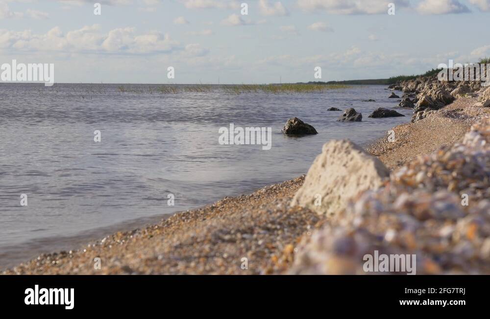 Seashell park Stock Videos & Footage - HD and 4K Video Clips - Alamy