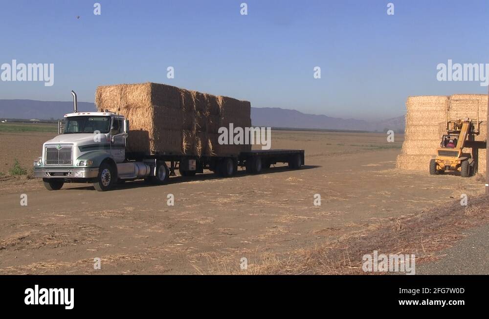 Hay delivery Stock Videos & Footage - HD and 4K Video Clips - Alamy
