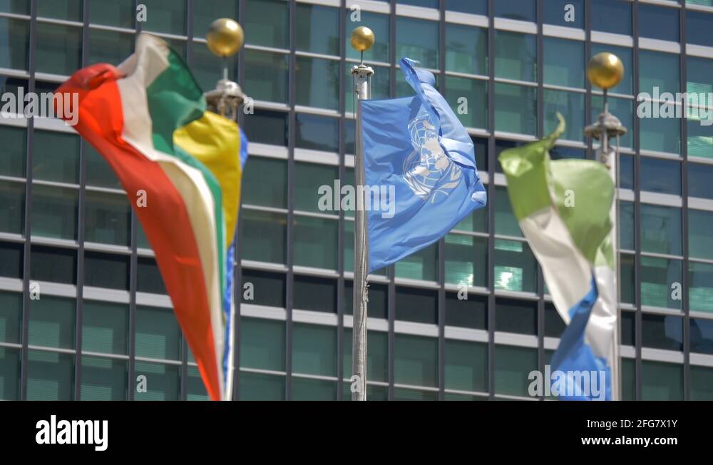 Un members flags Stock Videos & Footage - HD and 4K Video Clips - Alamy