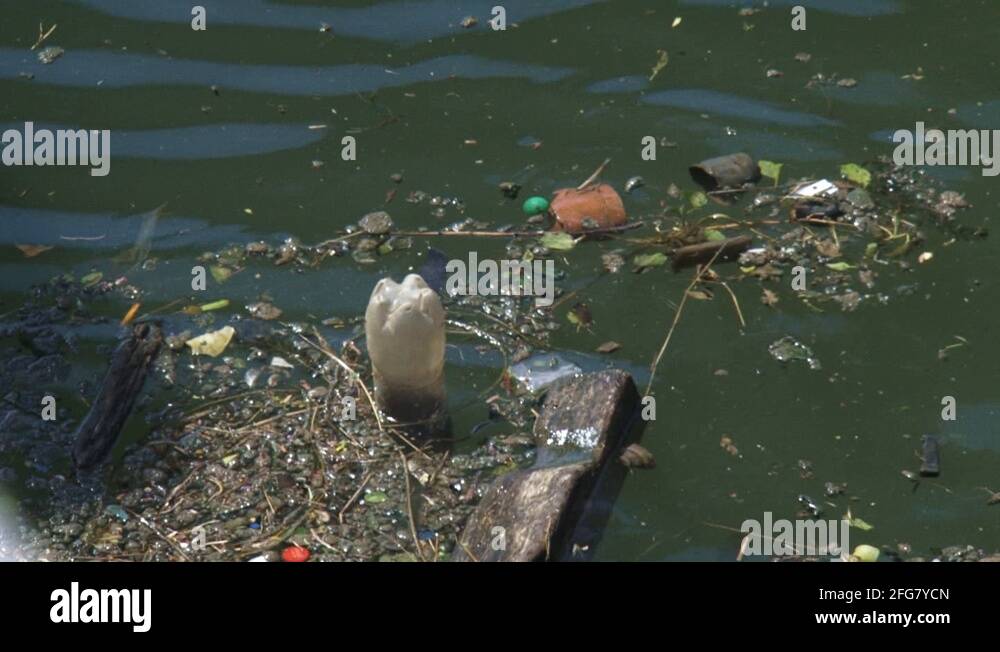 garbage floating on water surface, water pollution Stock Video Footage ...