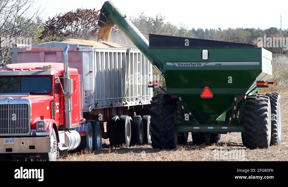 Grain transport truck Stock Videos & Footage - HD and 4K Video Clips ...