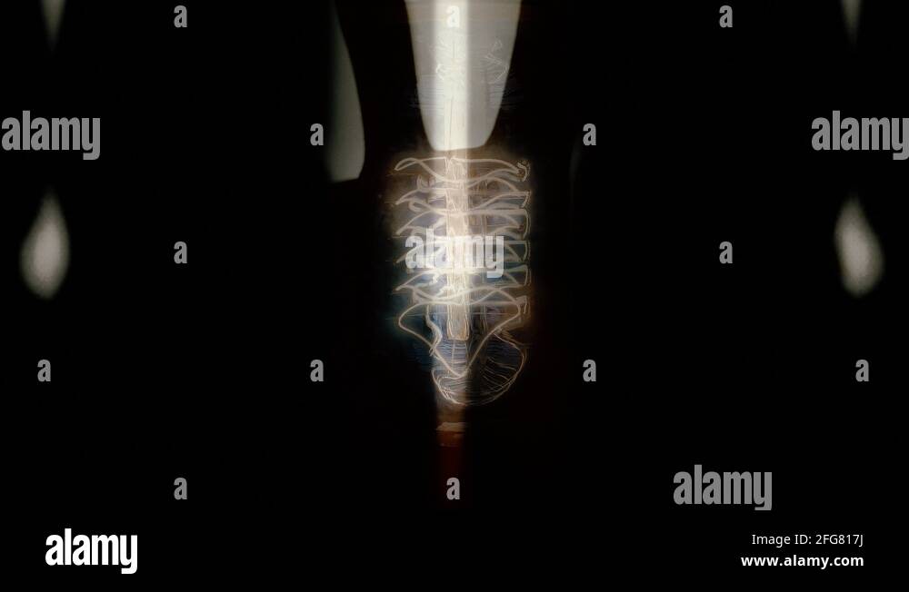 Bloody ceiling Stock Videos & Footage - HD and 4K Video Clips - Alamy