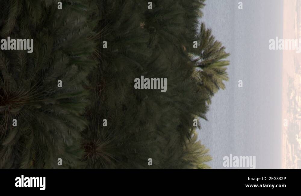 Dead plants garden border Stock Videos & Footage - HD and 4K Video ...