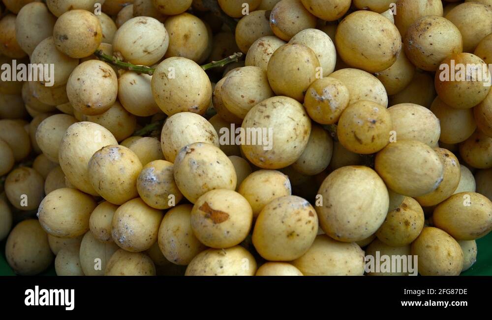Lanzones Stock Videos & Footage - HD and 4K Video Clips - Alamy
