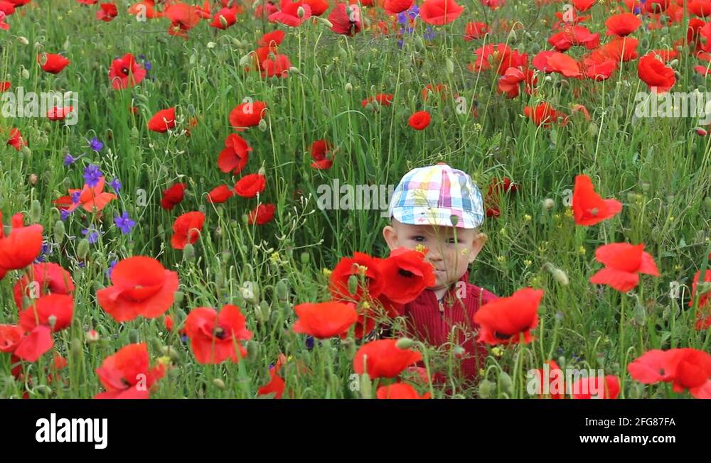 Child picking flower Stock Videos & Footage - HD and 4K Video Clips - Alamy