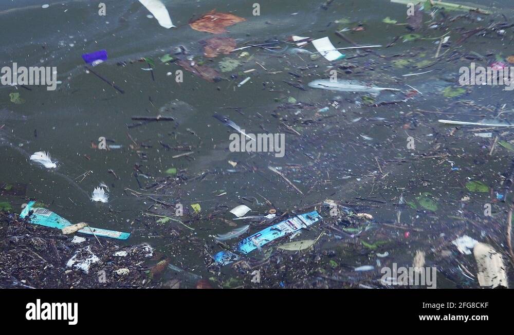 Consequences of urban water pollution Stock Video Footage - Alamy