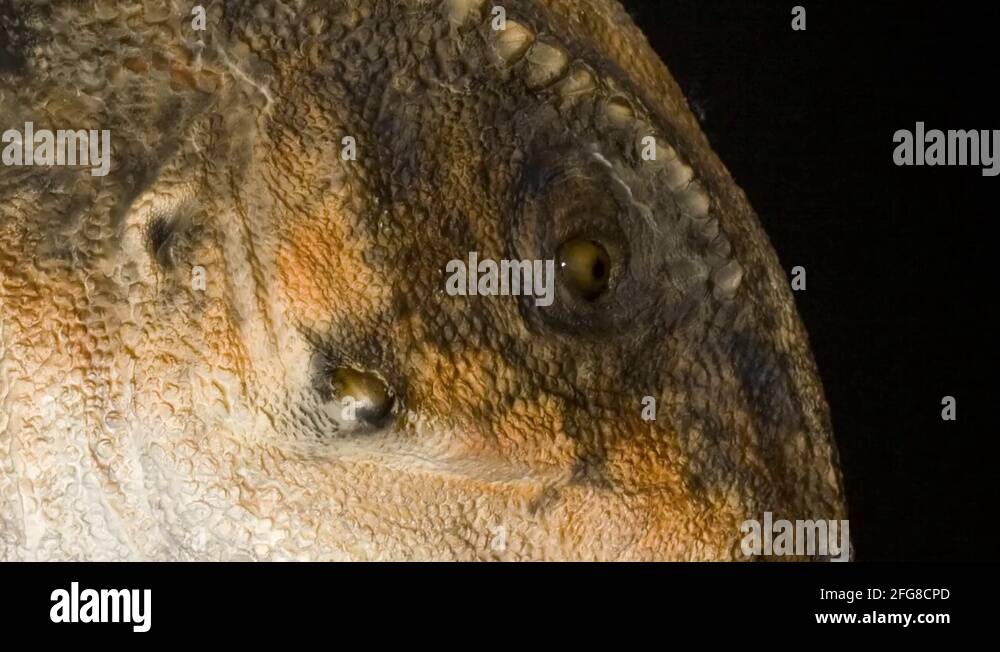 Plant eating dinosaur Stock Videos & Footage - HD and 4K Video Clips ...