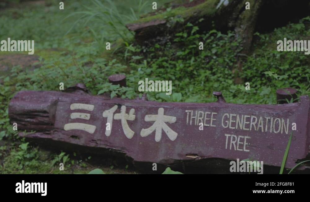 1st generation Stock Videos & Footage - HD and 4K Video Clips - Alamy