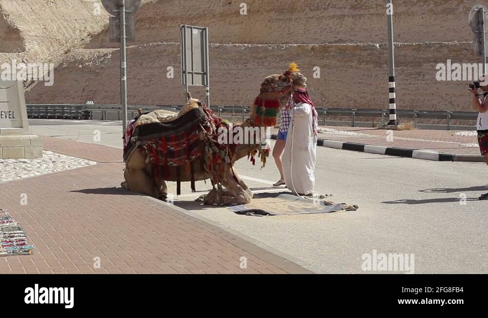 Desert israel palestine Stock Videos & Footage - HD and 4K Video Clips ...