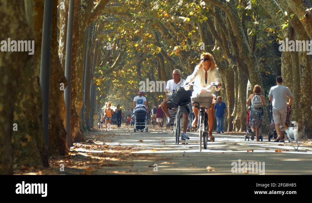 People summer walks Stock Videos & Footage - HD and 4K Video Clips - Alamy
