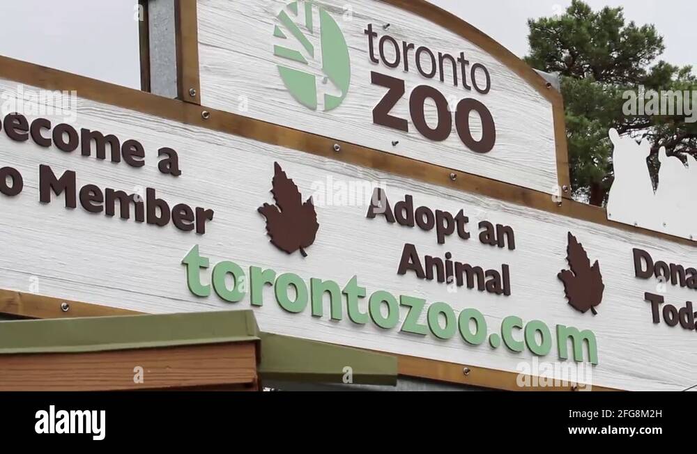 Zoo toronto Stock Videos & Footage - HD and 4K Video Clips - Alamy