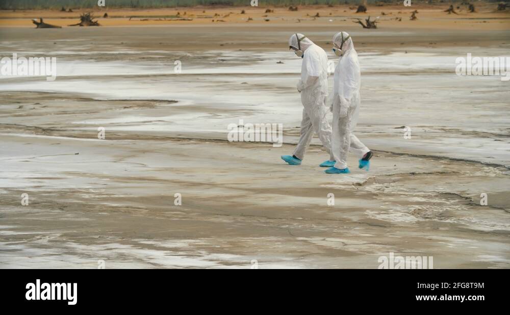 Collecting samples Stock Videos & Footage - HD and 4K Video Clips - Alamy