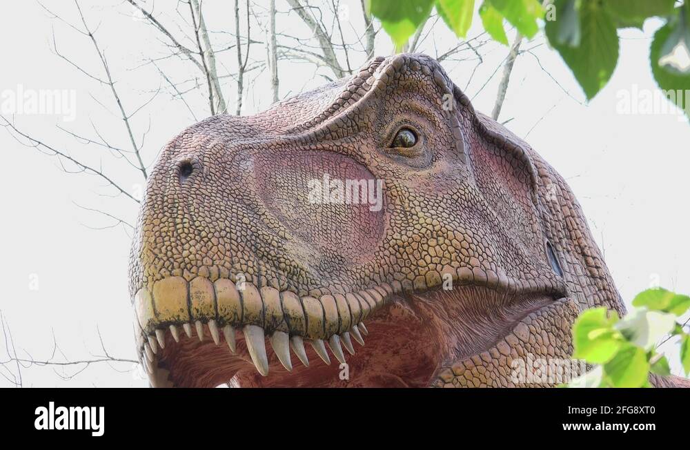 T rex scene Stock Videos & Footage - HD and 4K Video Clips - Alamy