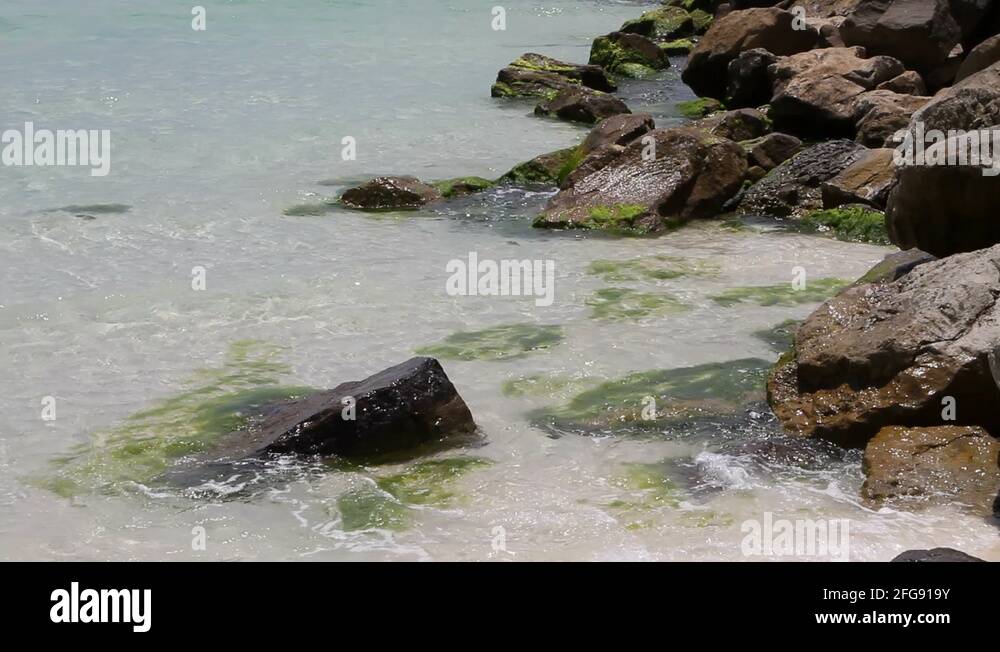 Gentle surf Stock Videos & Footage - HD and 4K Video Clips - Alamy