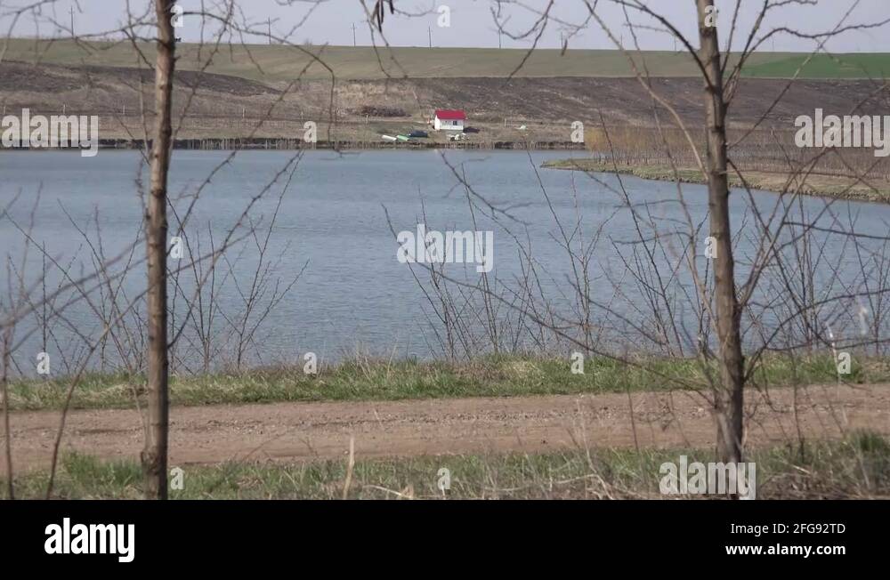 Habitat empty Stock Videos & Footage - HD and 4K Video Clips - Alamy