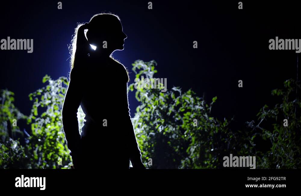 Person shining a light at the night sky Stock Videos & Footage - HD and ...