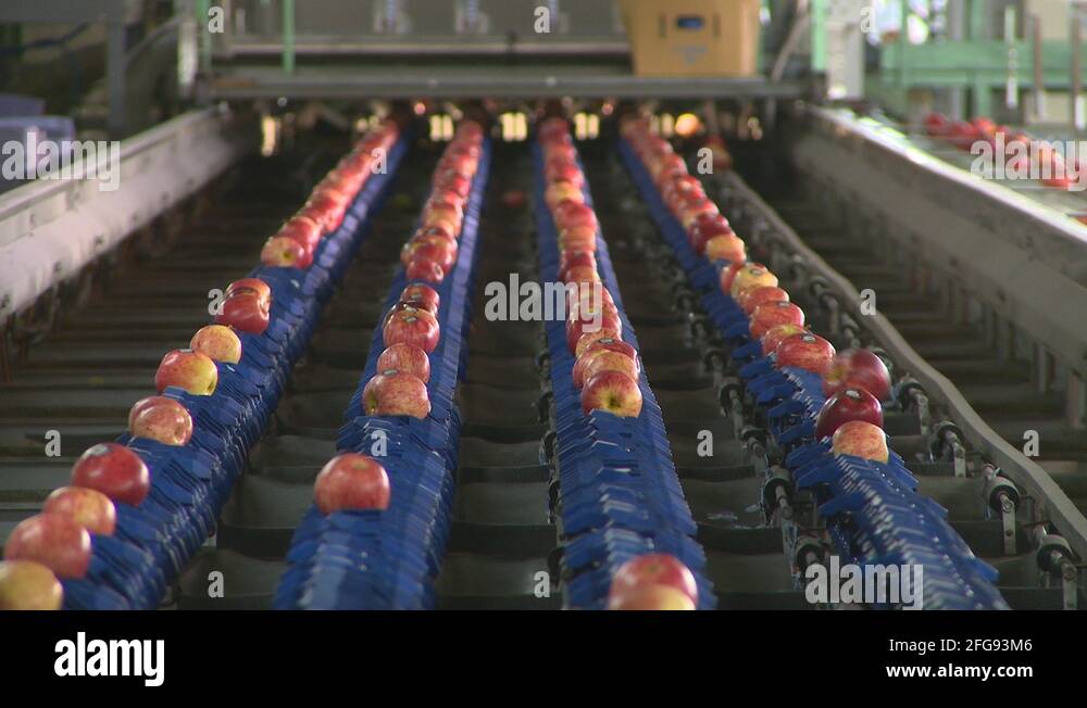 Packhouse Stock Videos & Footage - HD and 4K Video Clips - Alamy