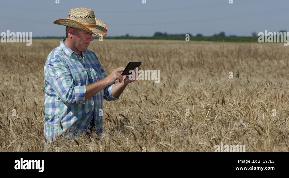 Agrarian agriculture Stock Videos & Footage - HD and 4K Video Clips - Alamy