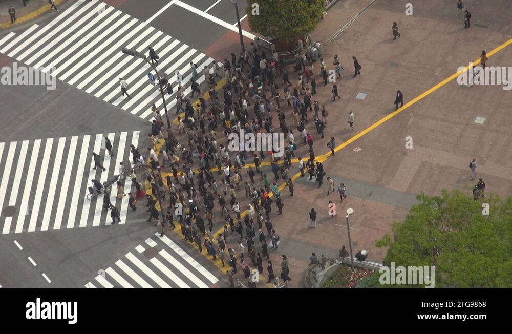 Pedestrian crossing street zebra Stock Videos & Footage - HD and 4K ...