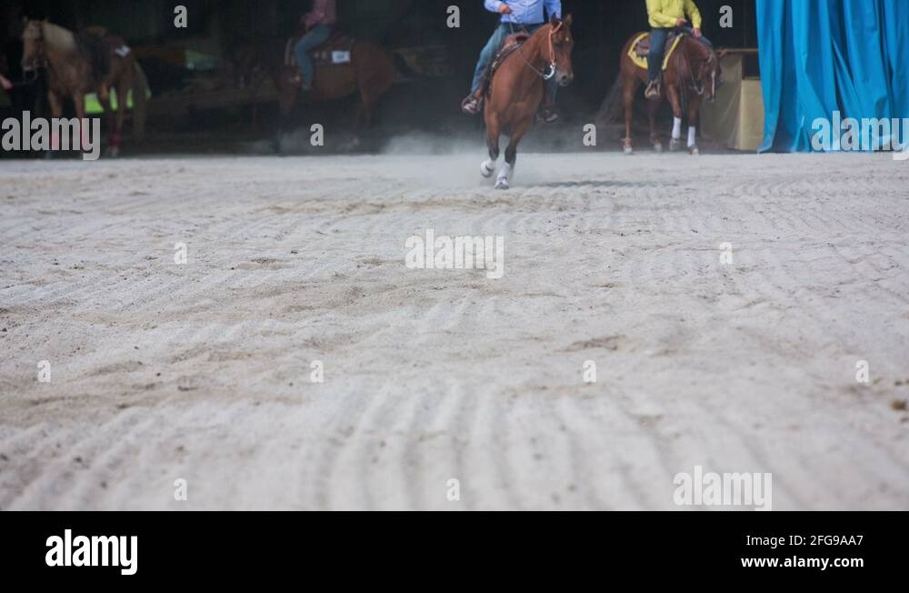 A horse stop Stock Videos & Footage - HD and 4K Video Clips - Alamy