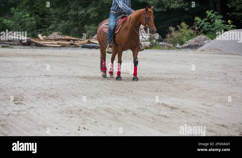 Reining horse rider Stock Videos & Footage - HD and 4K Video Clips - Alamy