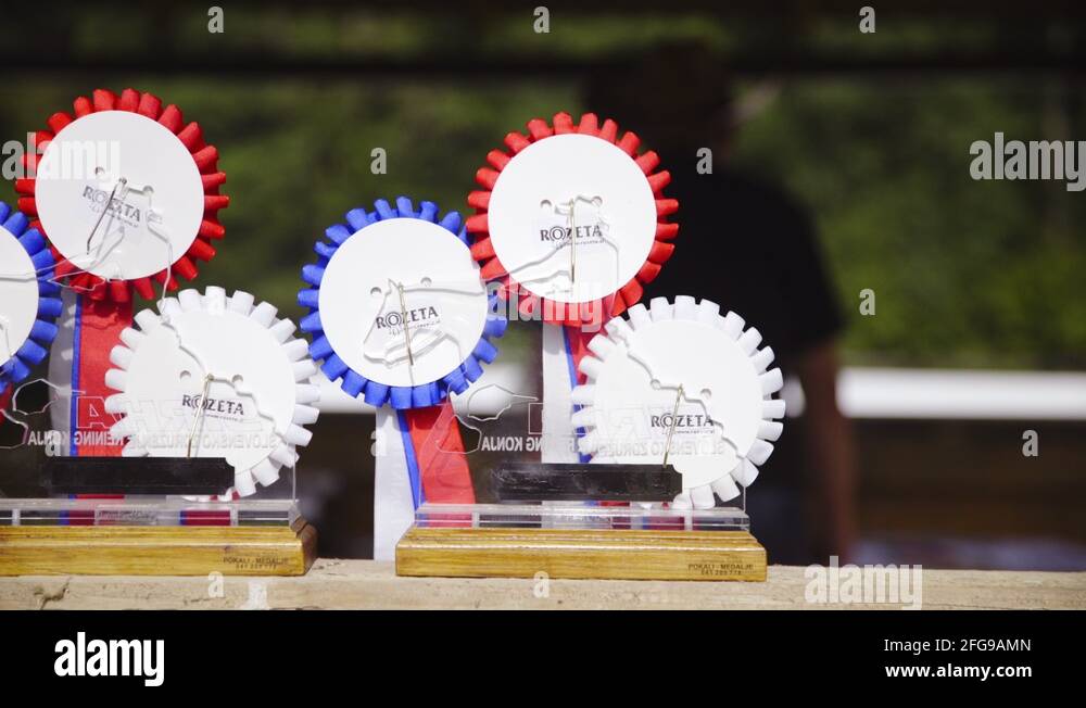 Reining horse Stock Videos & Footage - HD and 4K Video Clips - Alamy