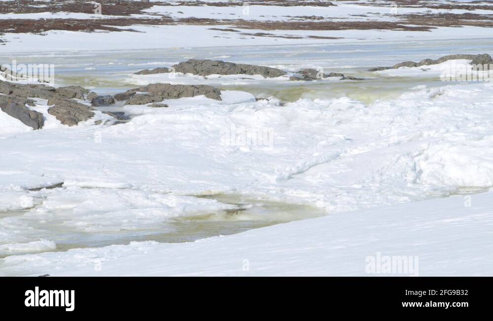 Ice melting arctic Stock Videos & Footage - HD and 4K Video Clips - Alamy