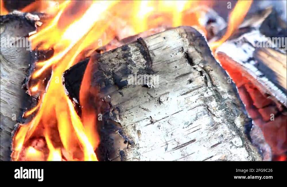 Background campfire burning fire birch Stock Videos & Footage - HD and ...