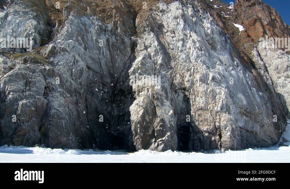 Bylot island Stock Videos & Footage - HD and 4K Video Clips - Alamy