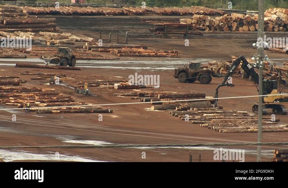 British columbia logging Stock Videos & Footage - HD and 4K Video Clips ...