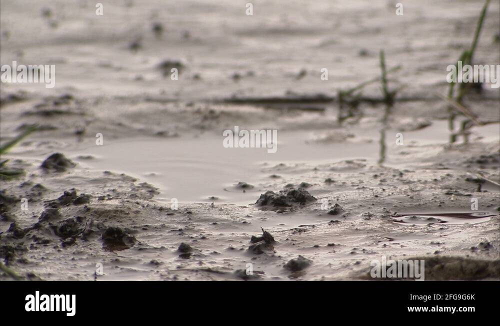 Falling mud Stock Videos & Footage - HD and 4K Video Clips - Alamy