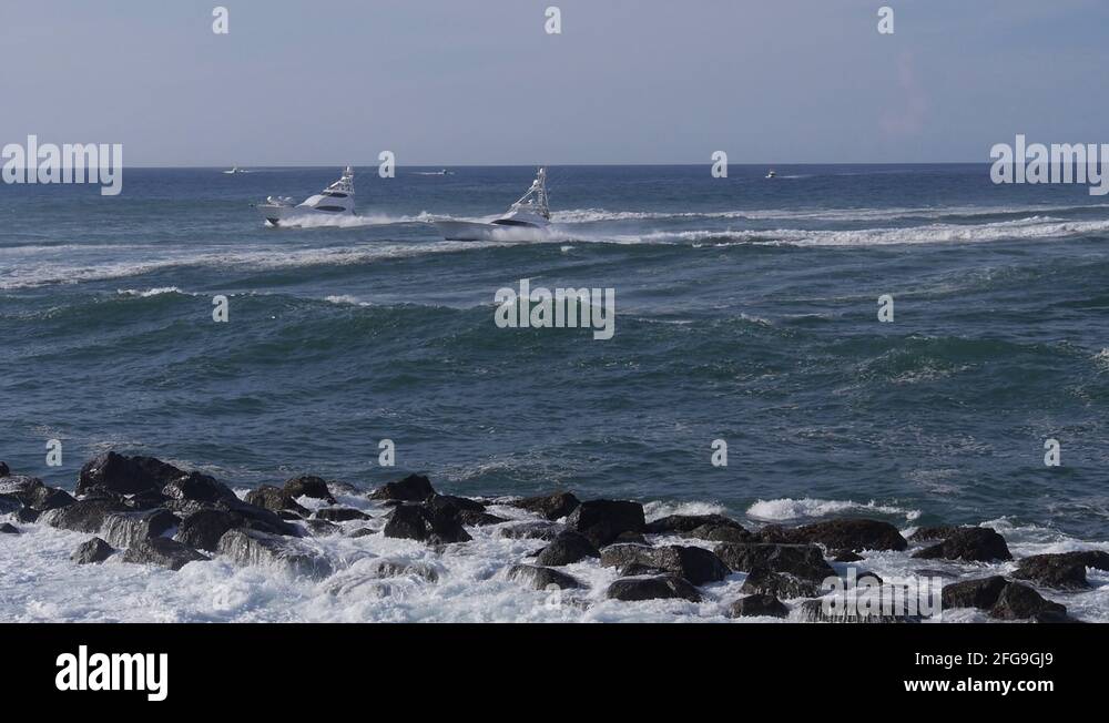 Billfish fishing Stock Videos & Footage - HD and 4K Video Clips - Alamy