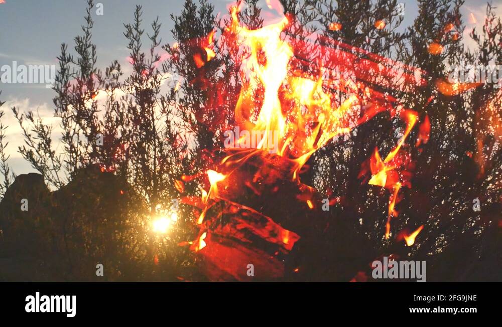 Moses and the burning bush Stock Videos & Footage - HD and 4K Video ...