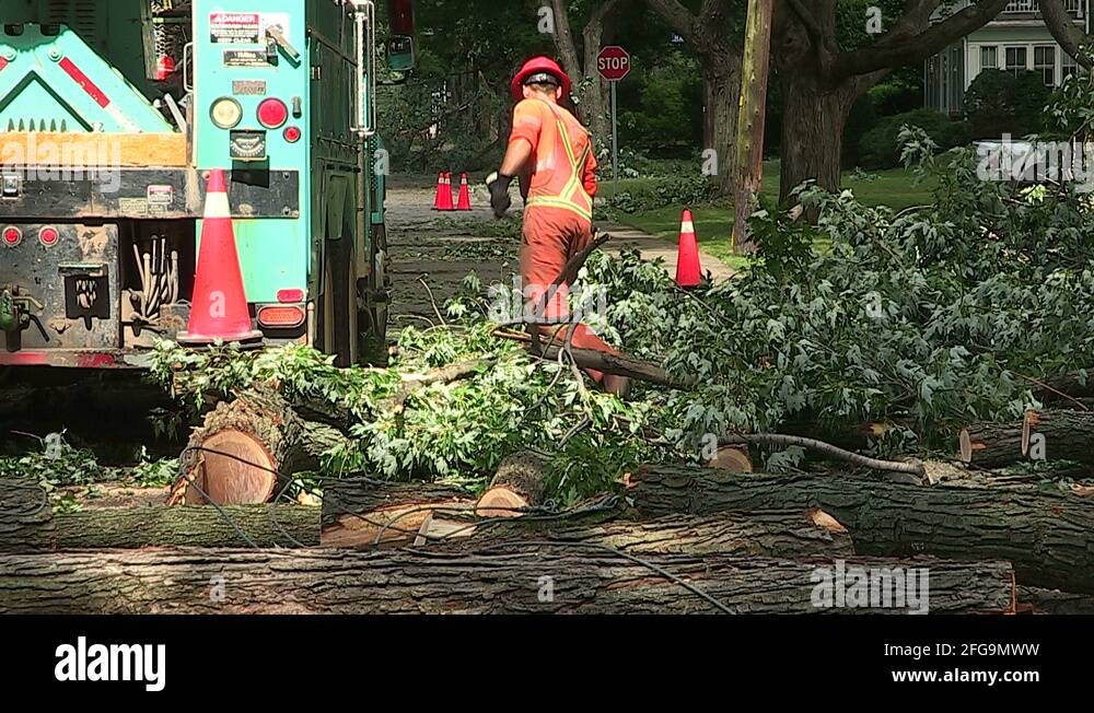Severe thunderstorm damage with car crushed by tree Stock Video Footage ...