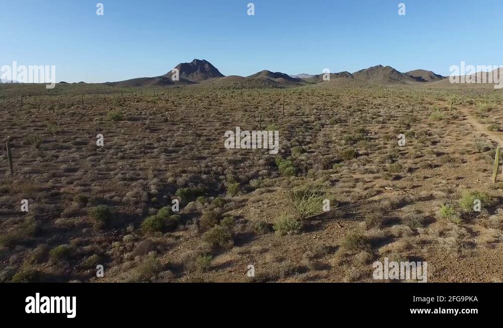 Daisy mountain Stock Videos & Footage - HD and 4K Video Clips - Alamy