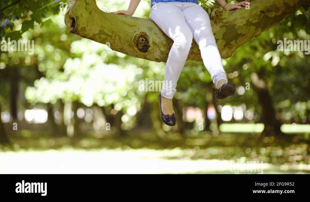 Female person legs dangling from tree branch 4K Stock Video Footage - Alamy