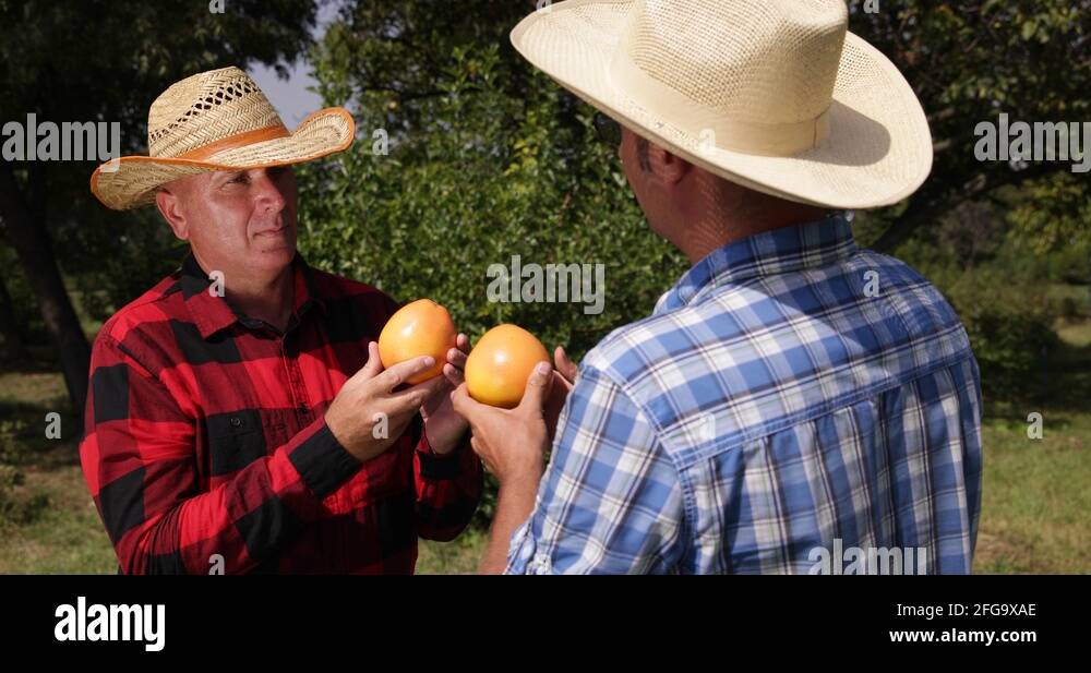 Teamwork orchard Stock Videos & Footage - HD and 4K Video Clips - Alamy