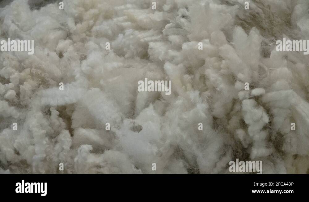 Wool background Stock Videos & Footage - HD and 4K Video Clips - Alamy