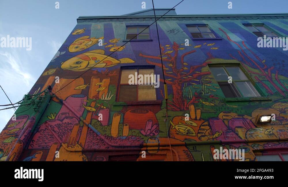 Beautiful graffiti art covered buildings in the city. 4K UHD Stock ...