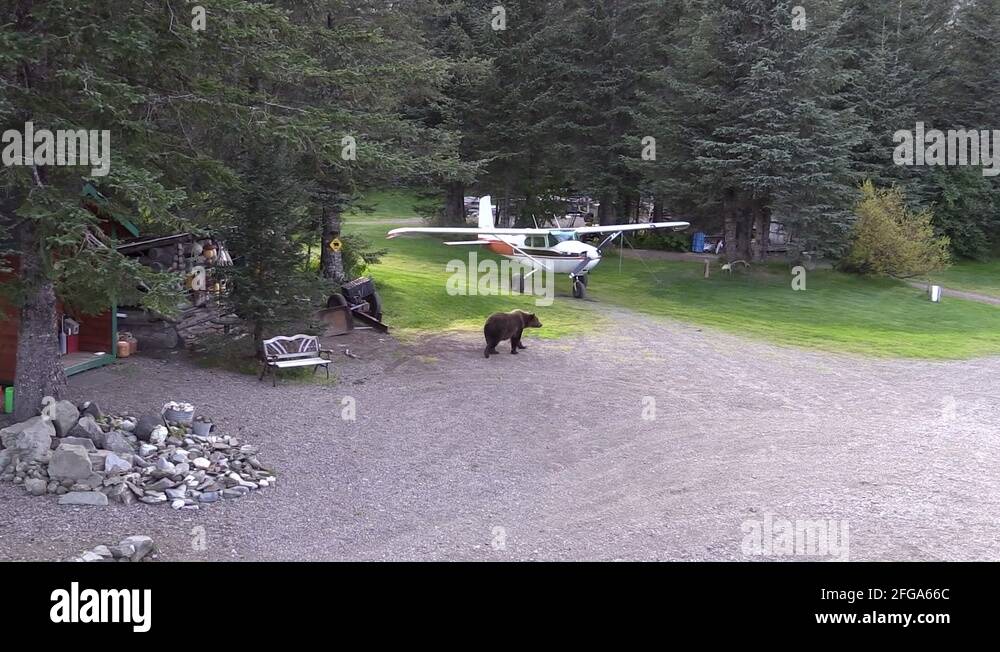 Strong homestead Stock Videos & Footage - HD and 4K Video Clips - Alamy