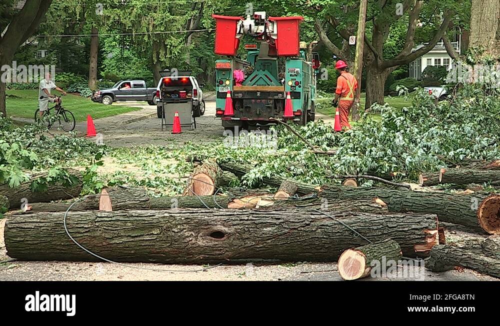 Severe thunderstorm damage with car crushed by tree Stock Video Footage ...