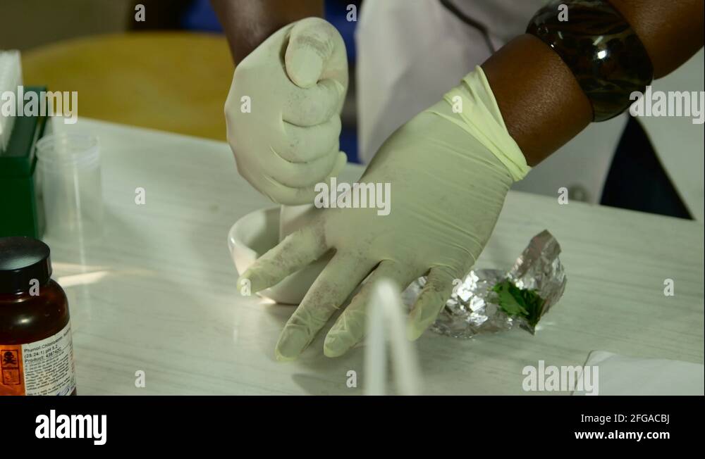 Mortar pestle laboratory Stock Videos & Footage - HD and 4K Video Clips ...