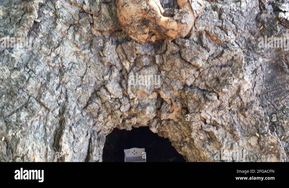 Nook architecture Stock Videos & Footage - HD and 4K Video Clips - Alamy