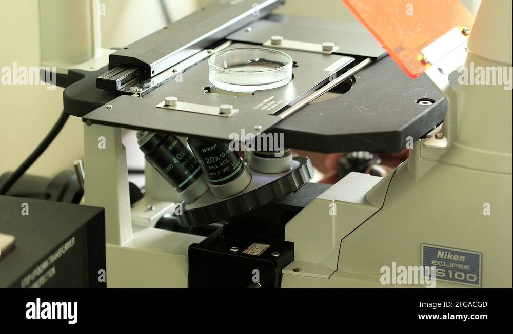 Microscope and petri dish Stock Videos & Footage - HD and 4K Video ...